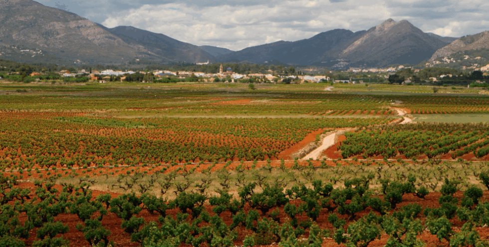 Xaló | Revista D'ací
